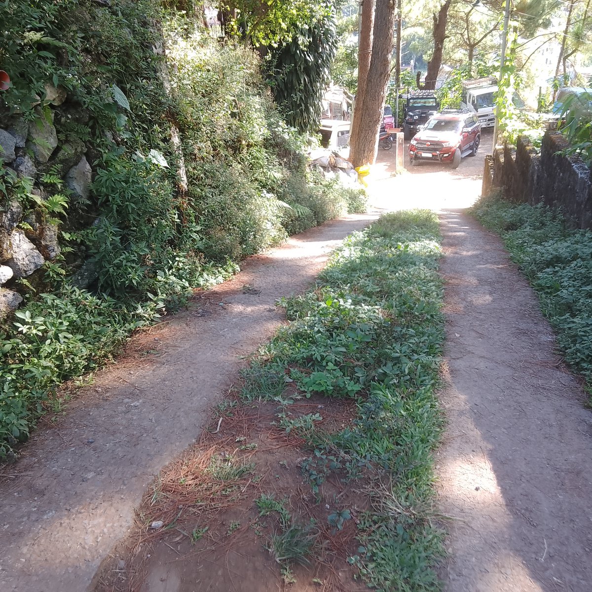 Flat to semi slope terrain [Lot 🚜] (May 2023) in Baguio City Economic ...