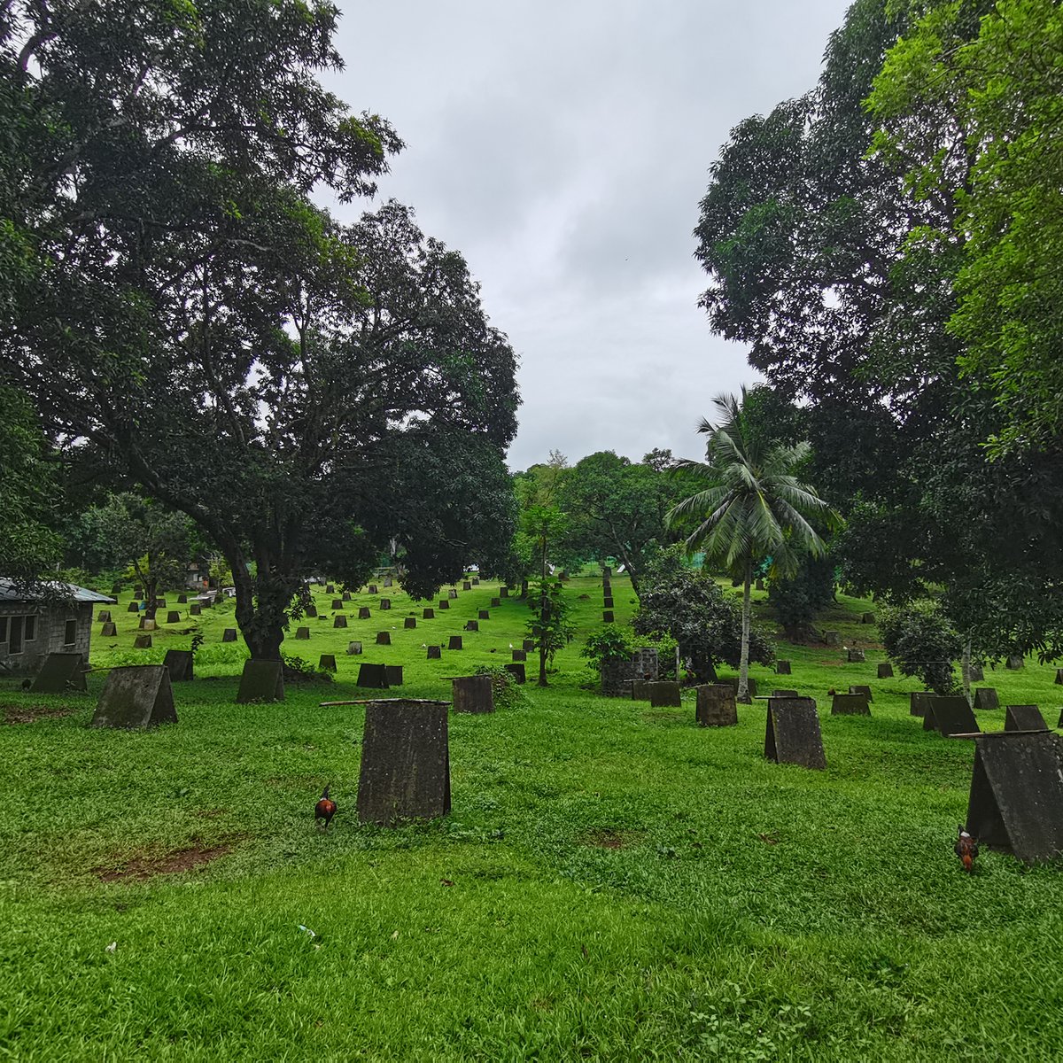 5.9 hectare Farm Lot in San Jose Del Monte Bulacan [Lot 🚜] (September ...