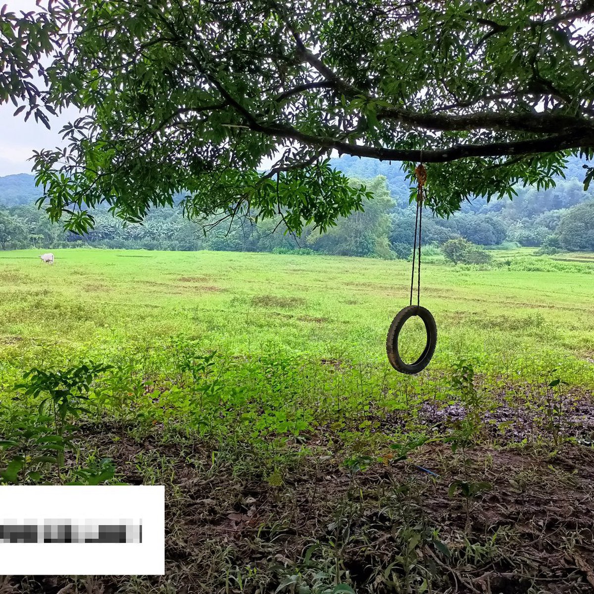 TITLED RESIDENTIAL LOT IN BARAS RIZAL, NO DOWNPAYMENT [Lot 🚜] (February ...