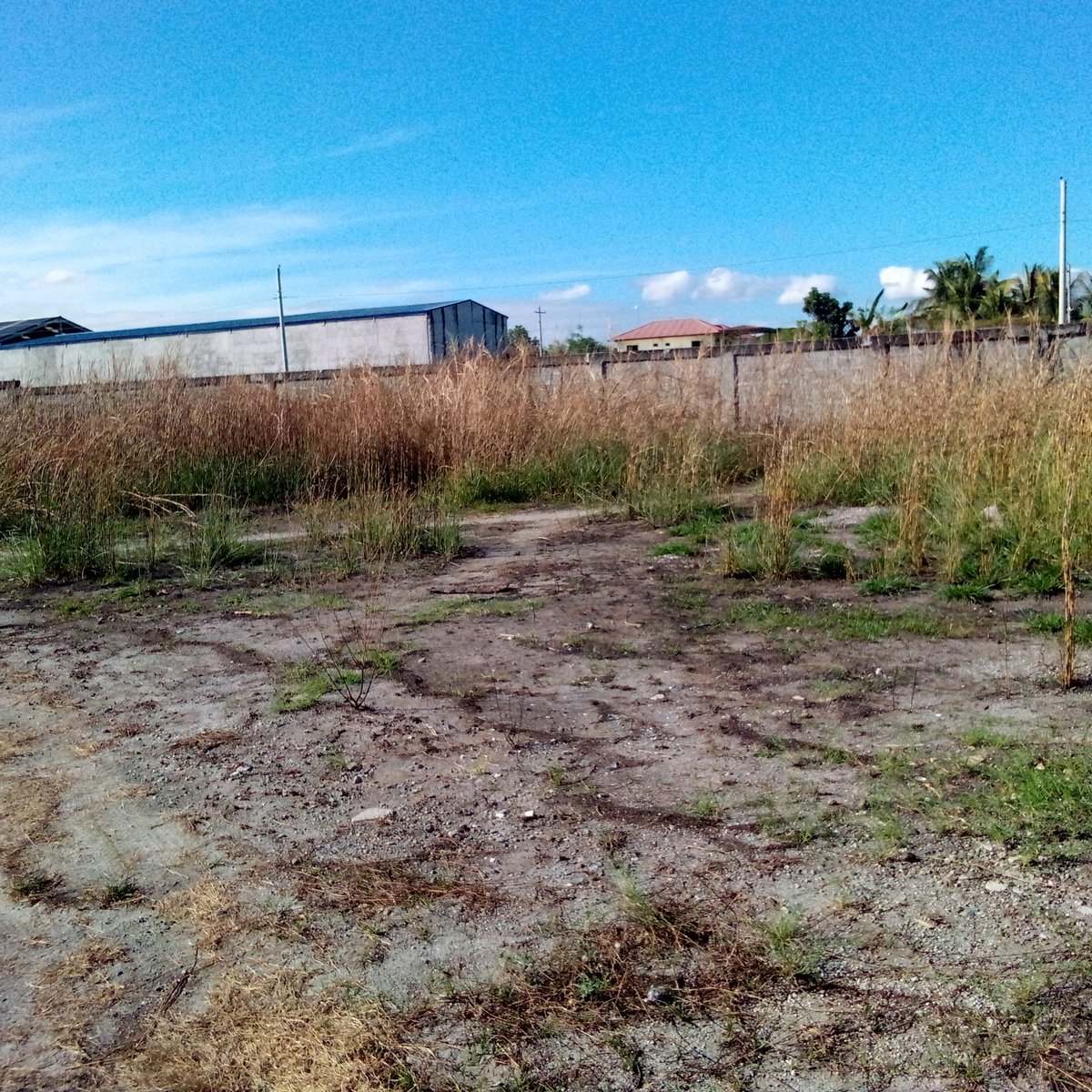 1 hectare Residential Farm For Sale in Mabalacat Pampanga [Lot 🚜 ...