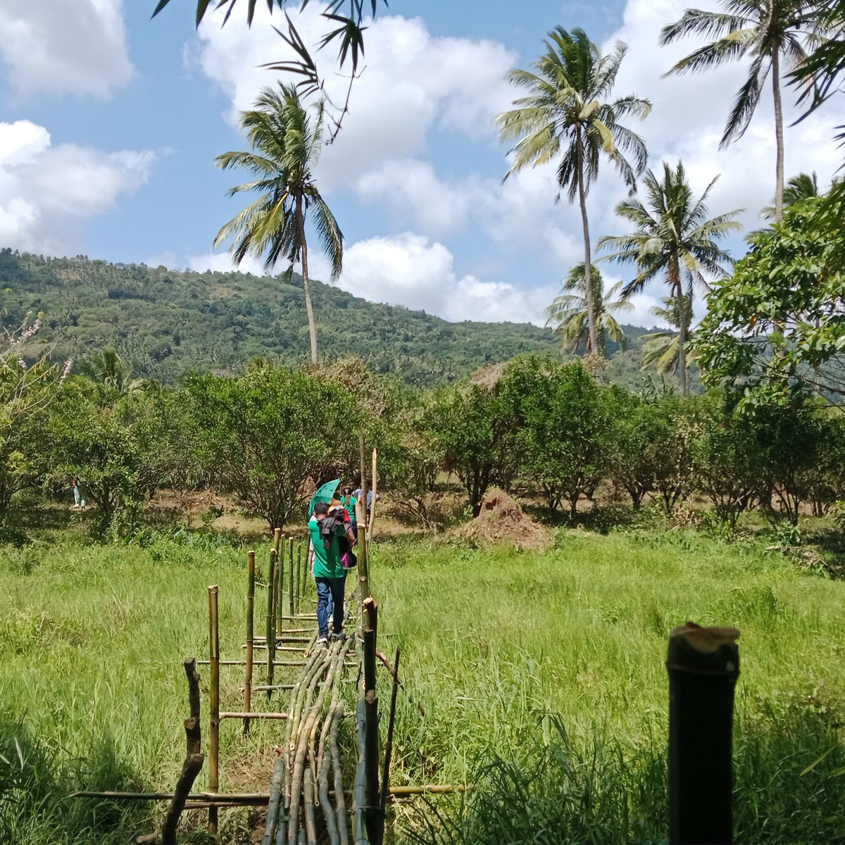 Residential lot for sale in Bagumbayan sta.Maria Laguna [Lot 🚜] (August ...