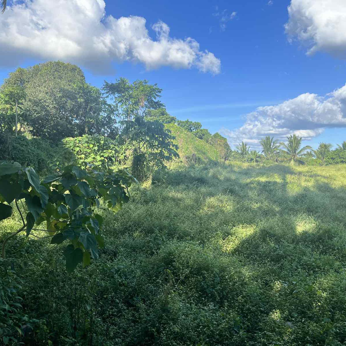 8743 sqm Residential Farm For Sale in Bauan Batangas [Lot 🚜] (July 2024 ...