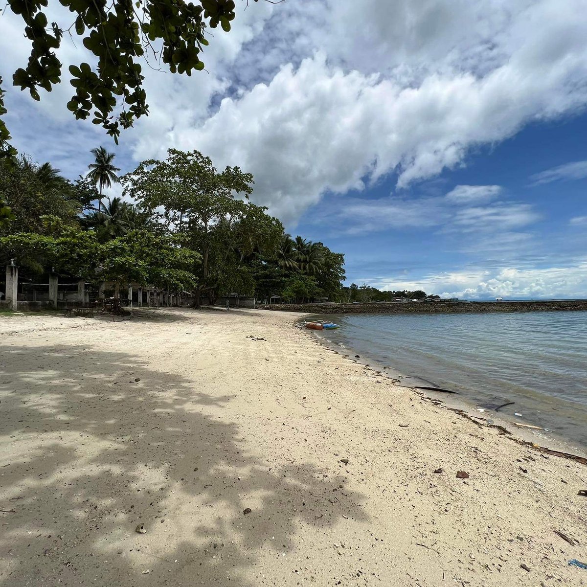 1.2 hectares Beach Property For Sale in Samal Davao del Norte [Beach Property 🏖️] (November 2023 ...