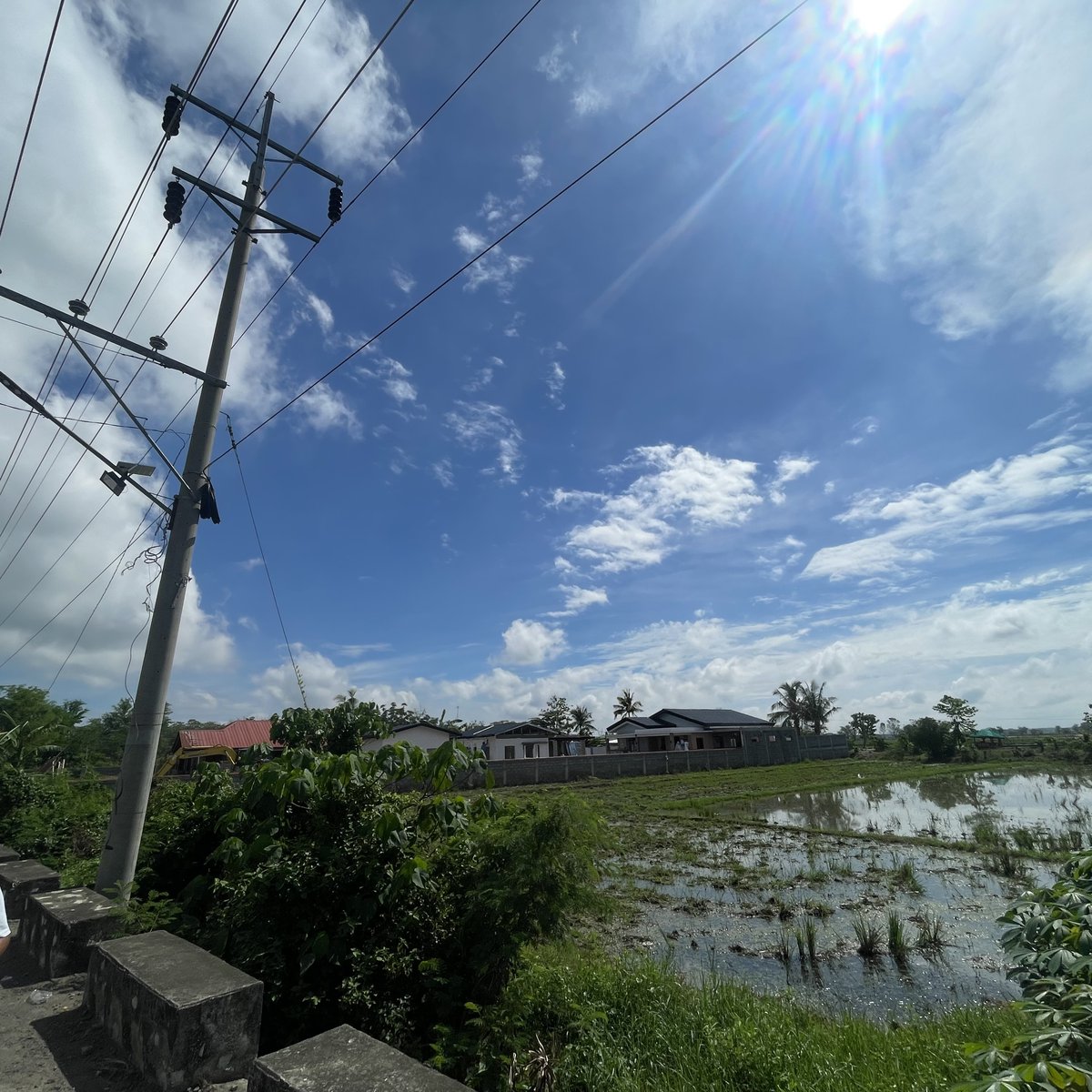 6 hectares along the highway farm for sale [Lot 🚜] (July 2024) in Ramon ...