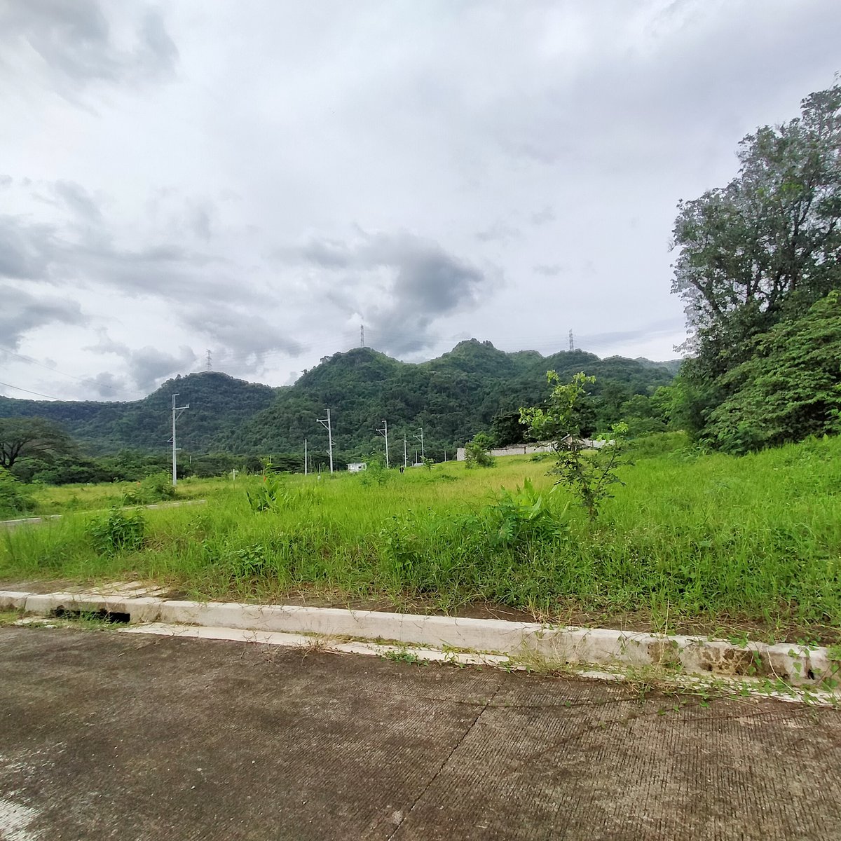 Palo Alto Leisure Residential and Farm Lot For Sale in Baras Rizal [Lot ...