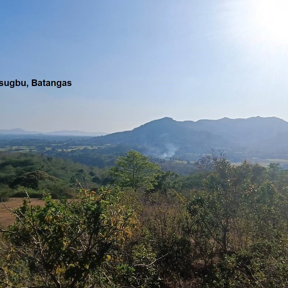Farm lot [Lot 🚜] (November 2023) in Nasugbu, Batangas for sale