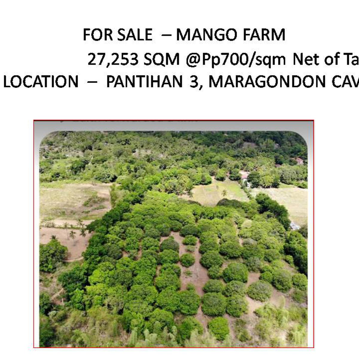 2.7253 hectares Mango Farm Lot For Sale in Maragondon Cavite [Lot 🚜 ...