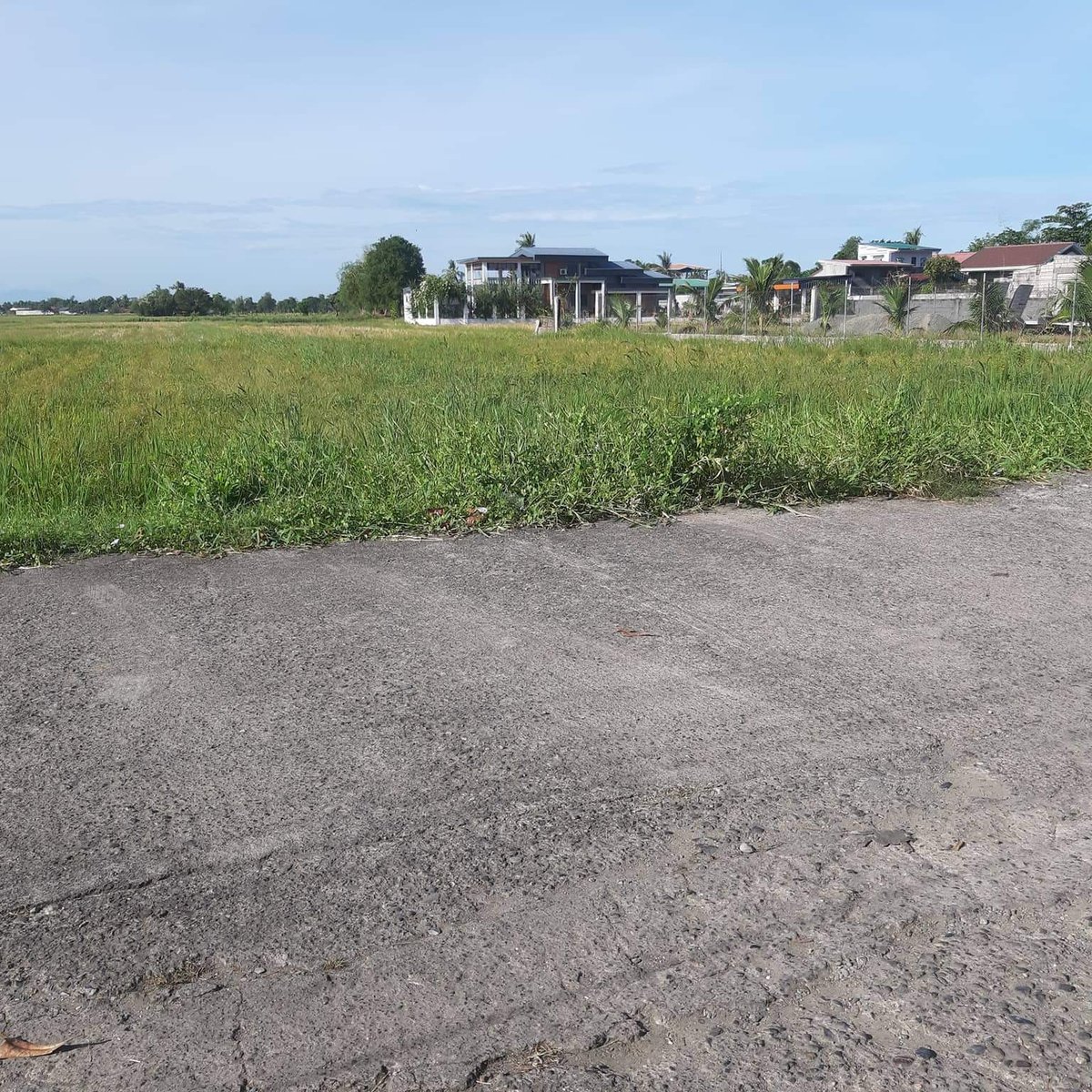 900 sqm Residential/Agricultural Lot for Sale in Quezon Nueva Ecija ...