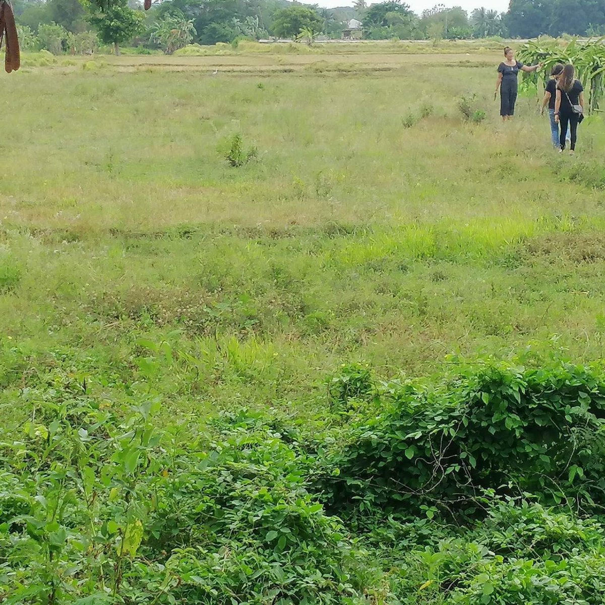 150 sqm Residential Lot For Sale in Oton Iloilo [Lot 🚜] (May 2024) in ...