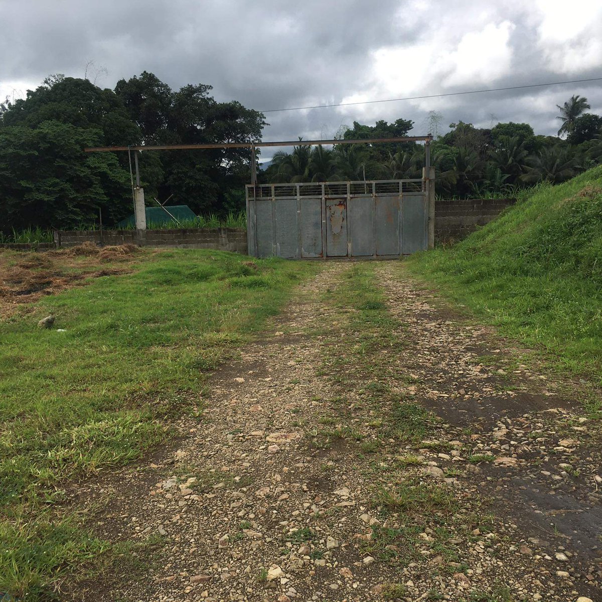 2 operational poultry building at toong tuy batangas. [Commercial ...