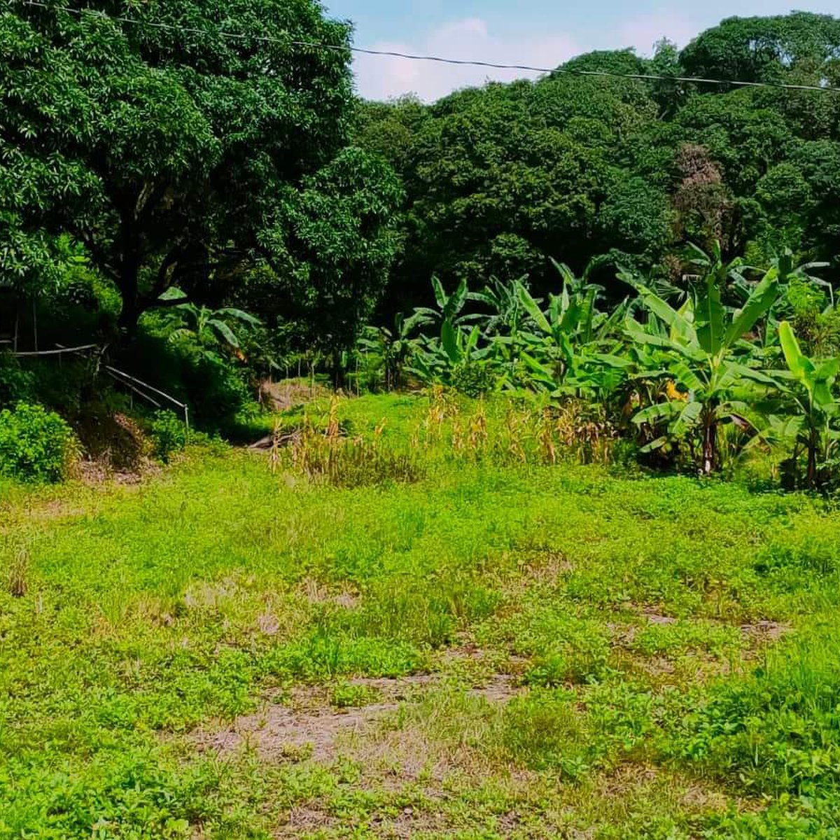 Campsite Farm! Farmlot near tourisy spots in norzagaray Bulacan [Lots 🚜 ...