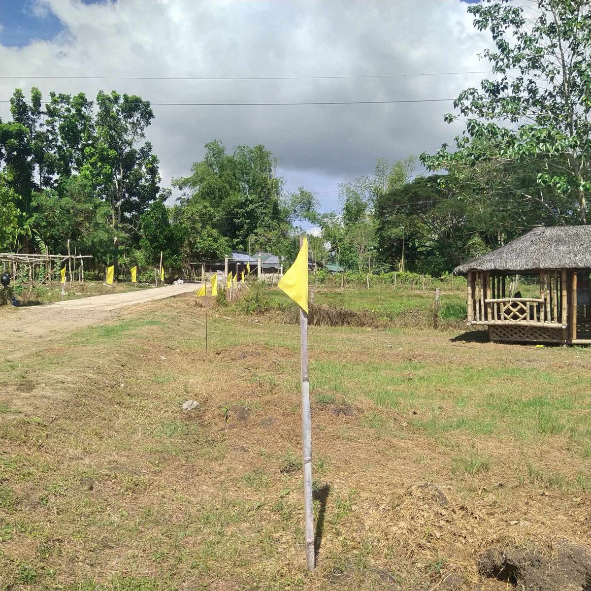 Affordable Lot for Sale in Sta. Barbara Iloilo [Lot 🚜] (September 2024 ...