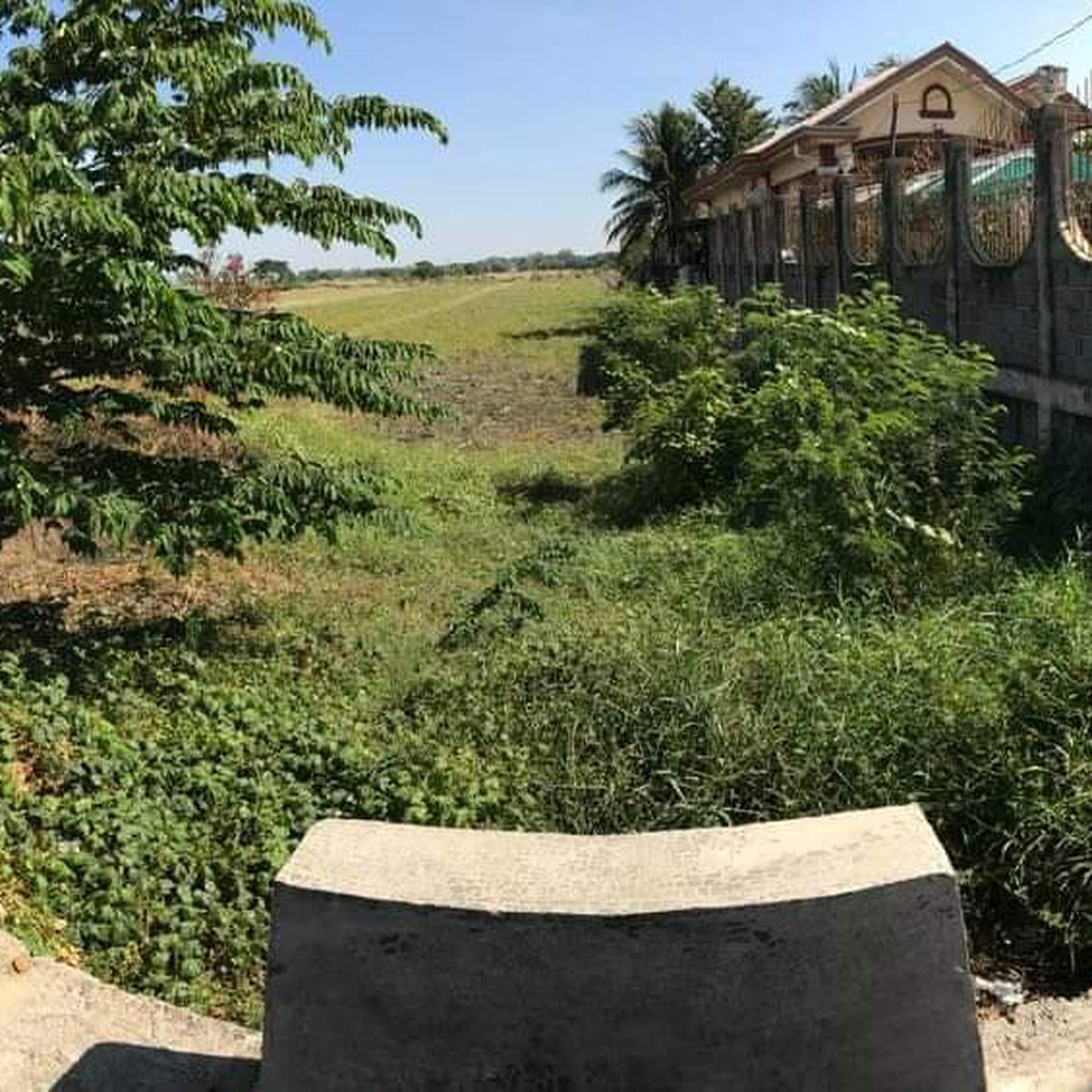 Commercial lot For Sale in San Clemente Tarlac [Commercial Property 🏭 ...