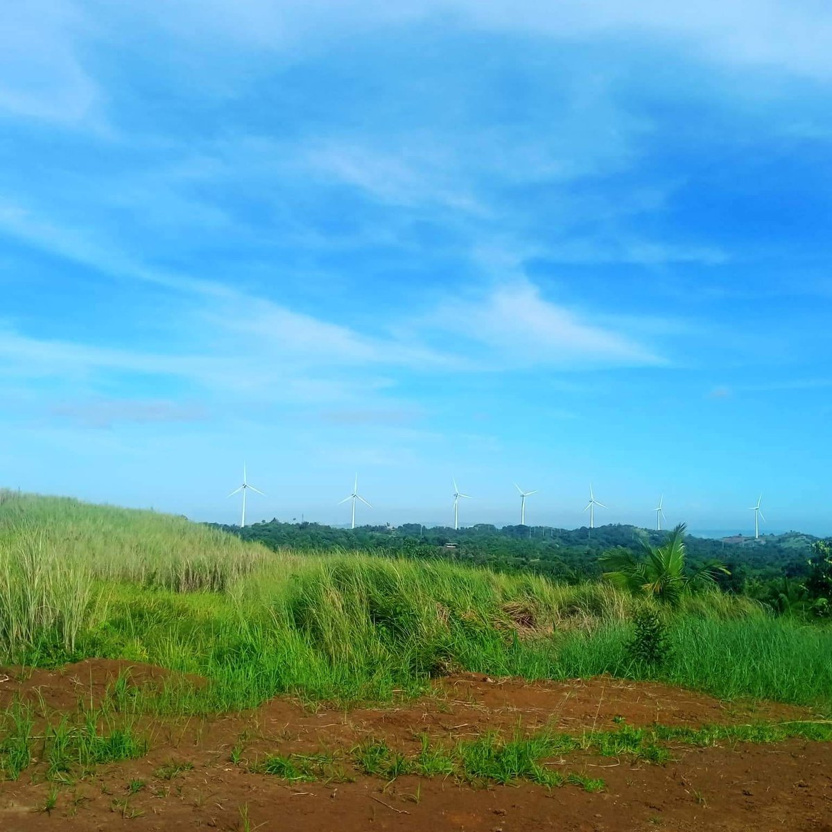 Residential farm lot with majestic view of windmill and laguna de bay ...