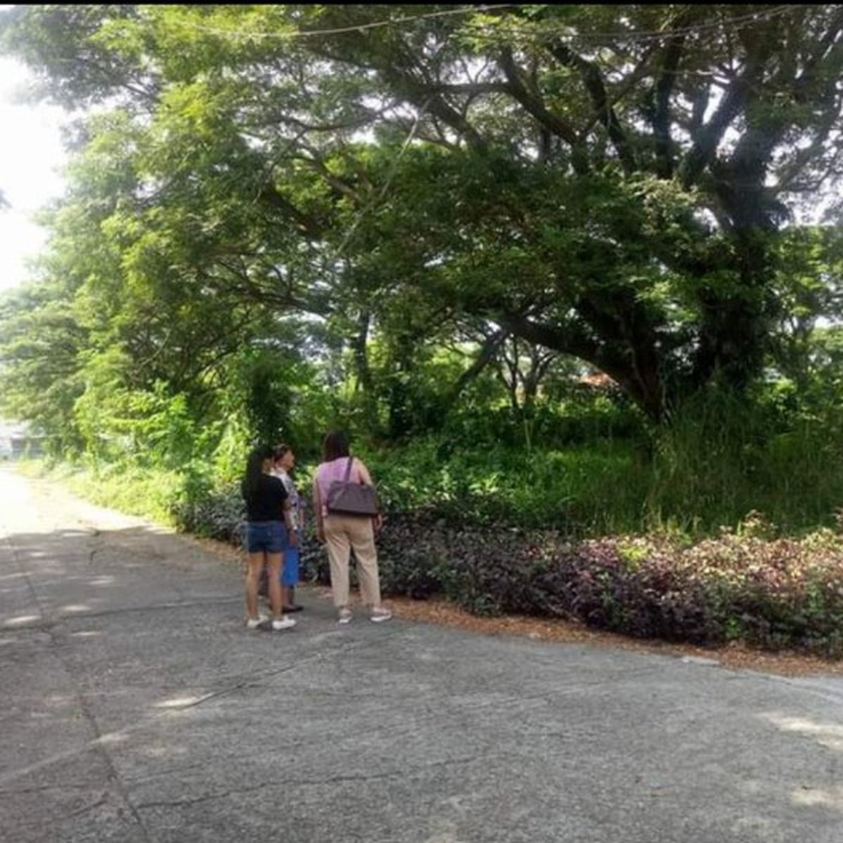 Corner vacant lot located at Cubay, Jaro Iloilo City [Lot 🚜] (January ...