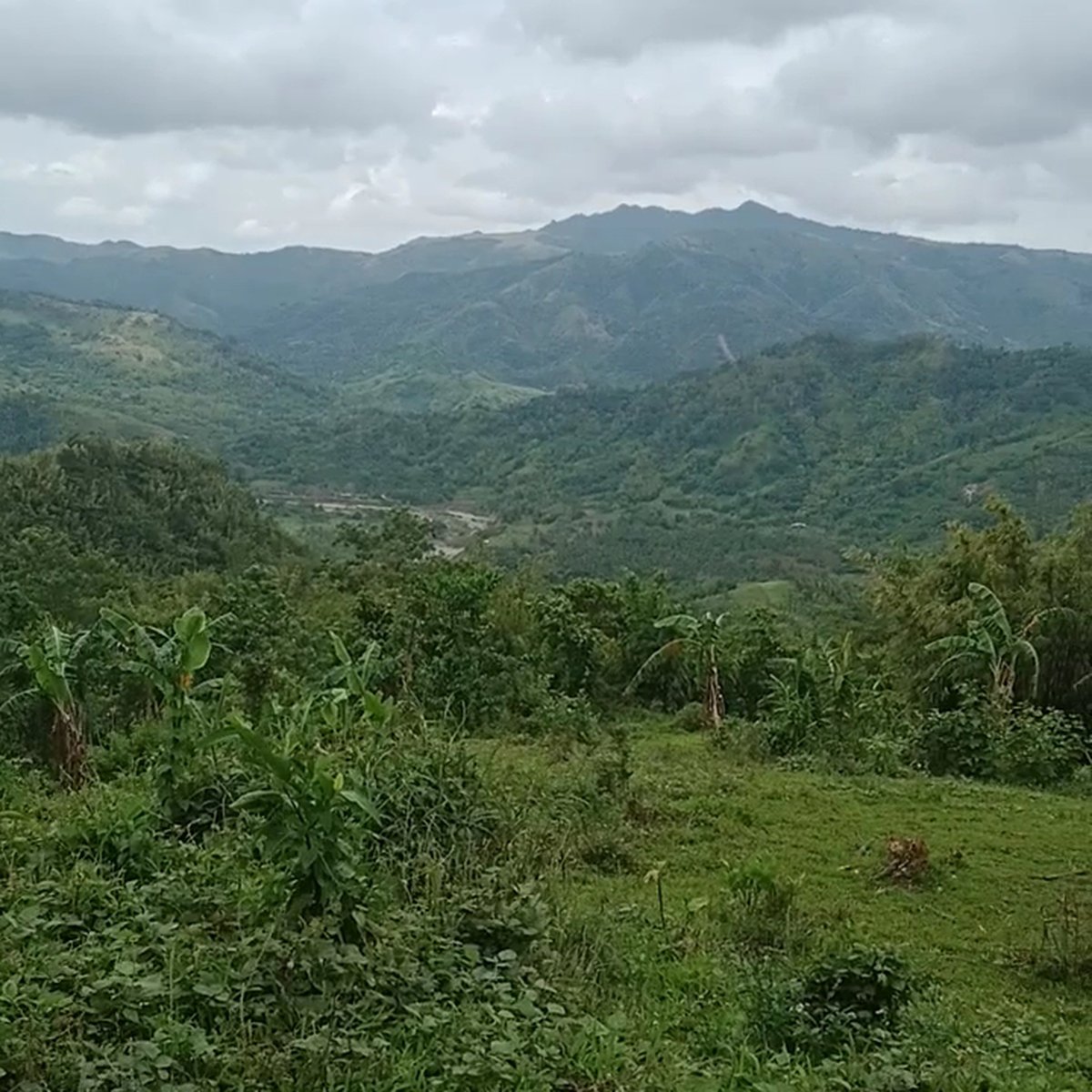 For sale Agricultural Farm [Lot 🚜] (May 2023) in Tanay, Rizal for sale