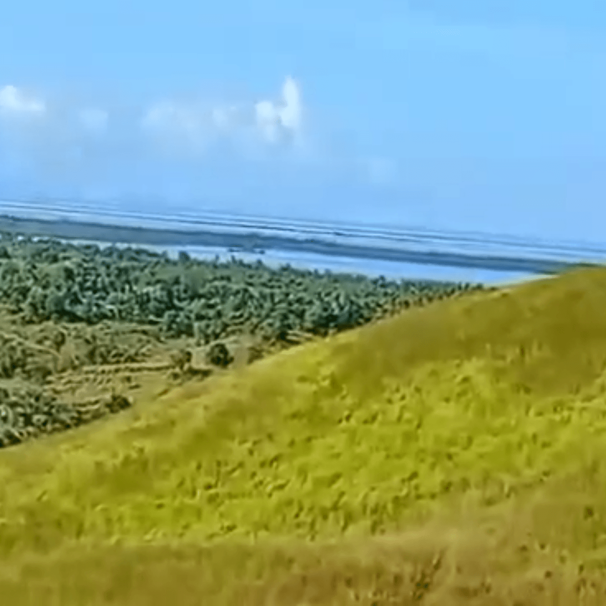 7 hectares Overlooking Farmland For Sale in Talibon Bohol [Lot 🚜] (September 2024) in Talibon ...