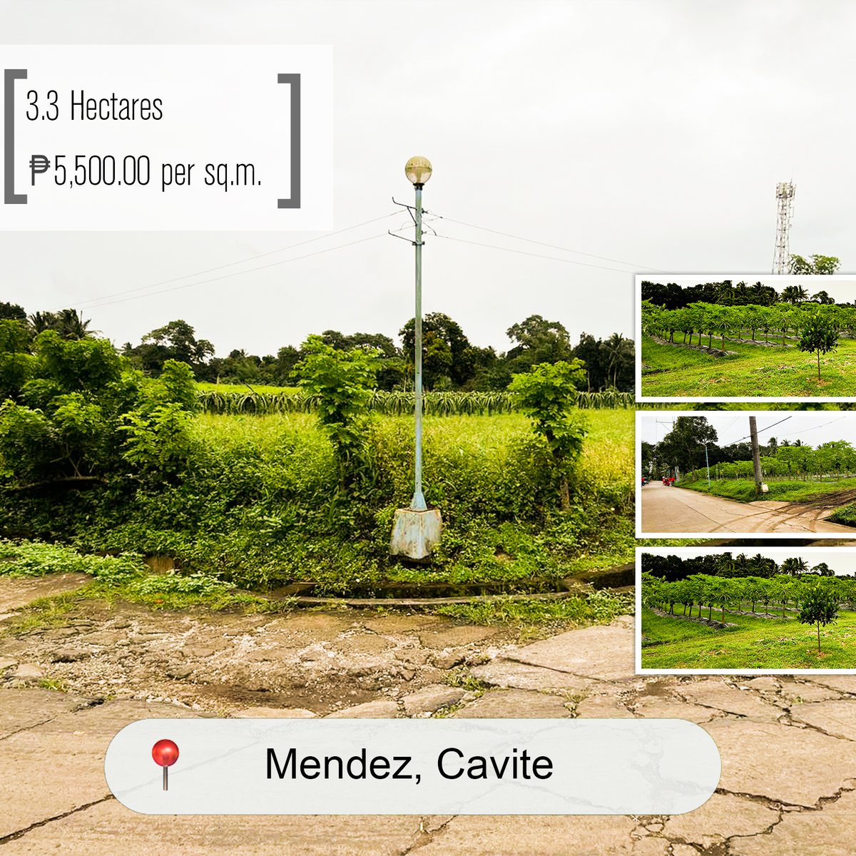 3.3 hectare land good for subdivision, farm, or a recreational project ...