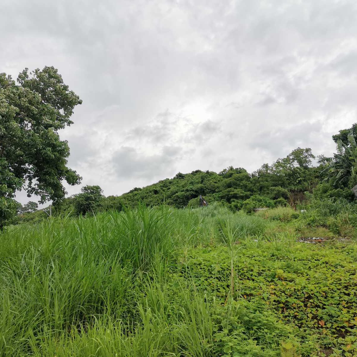 Commercial Lot with Golf Course View in Eastridge Binangonan Rizal [Lot ...
