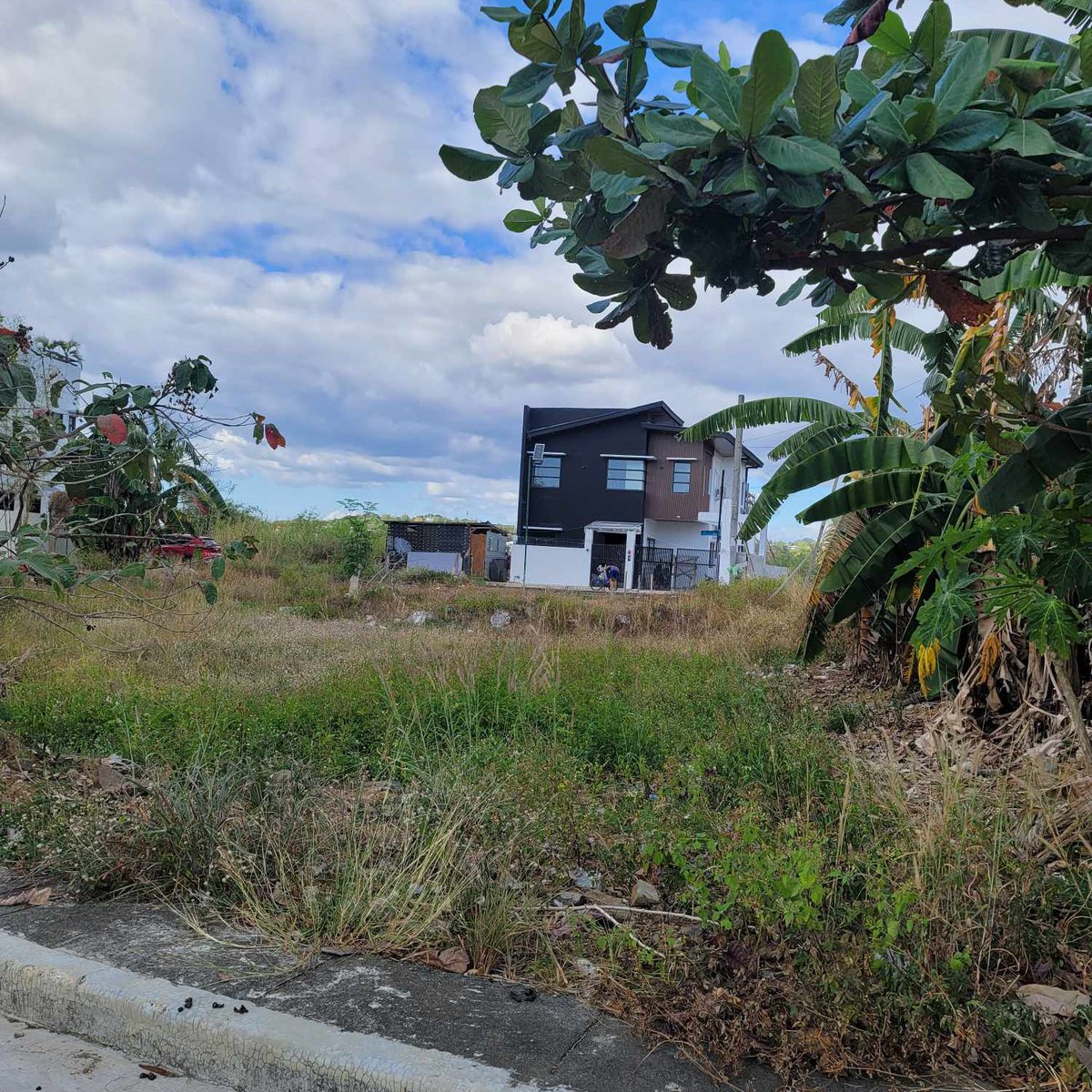 294 SQM RESIDENTIAL LOT FOR SALE IN RIZAL OVERLOOKING LAGUNA DE BAY ...