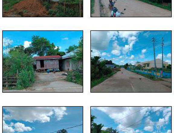 Best Lot For Sale Rizal Liwan Kalinga [1 Property] (June 2026) on ...
