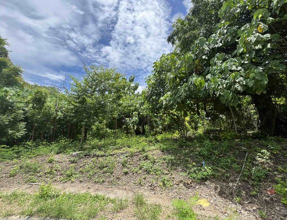 Maria Luisa North The Heritage Subdivision 350 Sqm Residential Lot For ...