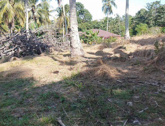 Foreclosed Farm Land In Antipolo [23,845 Properties] (January 2023) on ...