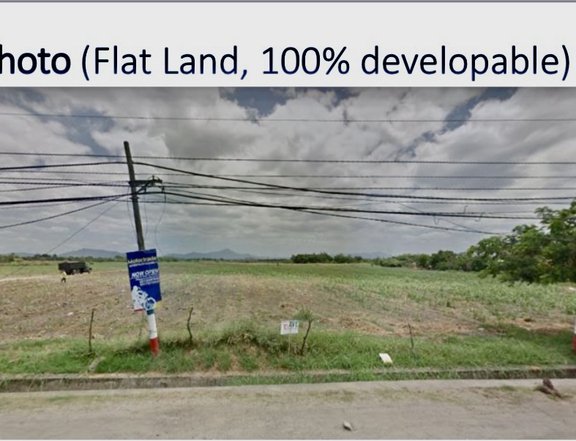 Raw Land For Sale Taysan Batangas 🚜 [25 Properties] (April 2024) on OnePropertee.com