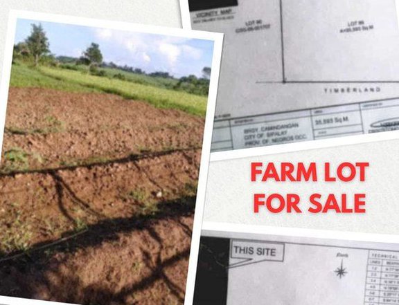 Clean Title Lot For Sale Bago Negros Occidental [176 Properties ...