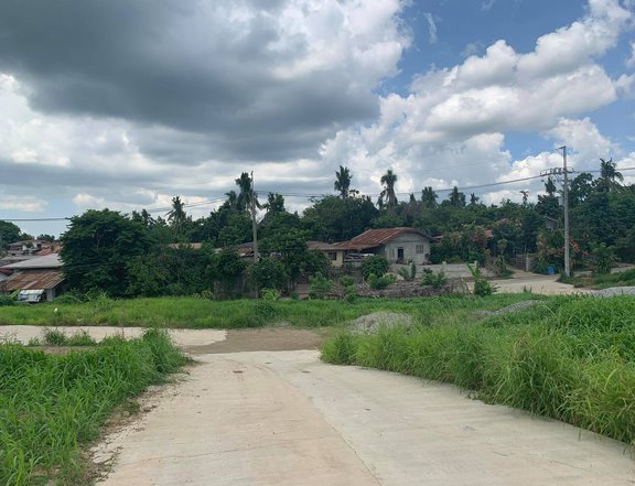 Susan Farmhouse Silang Cavite [23,950 Properties] (February 2023) on ...