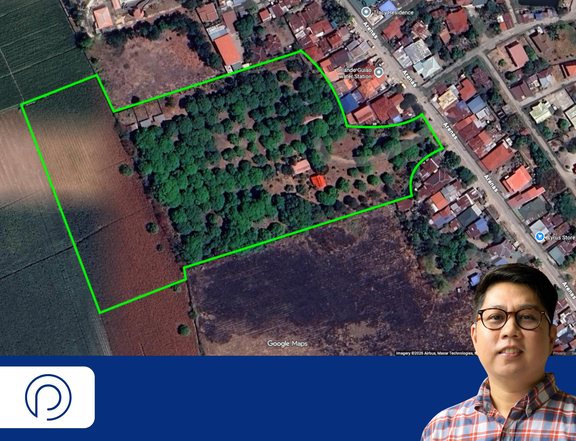 Mango Farm Lot For Sale Pampanga [27 Properties] (May 2026) on ...