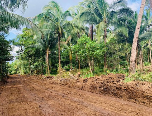 400 Sqm Lot For Sale 🚜 [9527 Properties] (July 2022) on OnePropertee.com