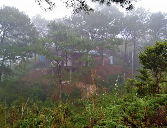 500 Square Meters House 🏘️ [13,141 Properties] (December 2022) on ...