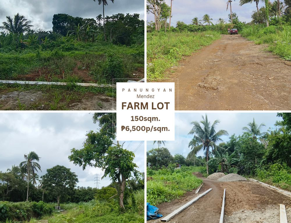 Foreclosed Farm Lot In Mendez Cavite [36,801 Properties] (February 2024 ...