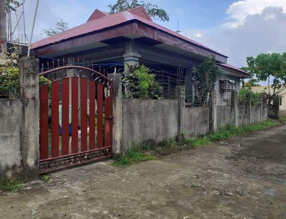 Single Detached House For Sale Virac Catanduanes 🏘️ 2 Properties August 2023 On