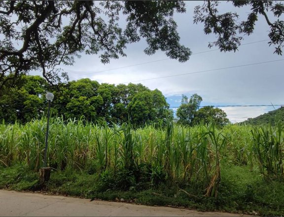 600 Sqm Lot For Sale 🚜 [14,292 Properties] (March 2023) on OnePropertee.com