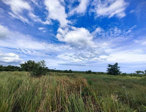 Farm Lot For Sale Palawan [94 Properties] (June 2026) on OnePropertee.com