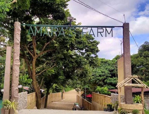 Farm Lot For Sale Cavite 🚜 [130 Properties] (April 2021) on ...