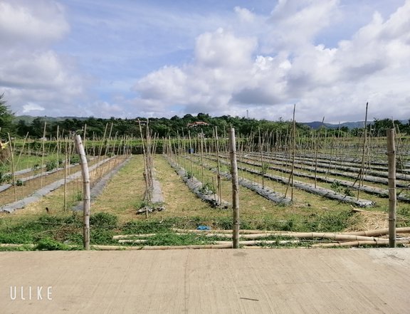 Agricultural Farm Lot For Sale Tanay Rizal 🚜 [76 Properties] (March ...