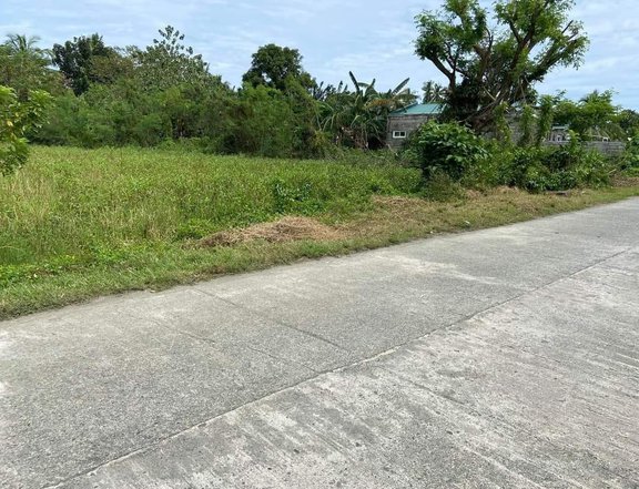 Affordable Lot For Sale Pinamalayan Oriental Mindoro [2 Properties ...