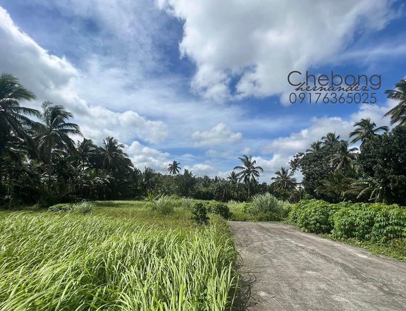 Farm Lot For Sale Amadeo Cavite Philippines 🚜 [4,533 Properties ...