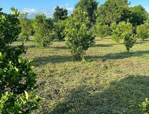 1000 Sqm Lot For Sale 🚜 [12,021 Properties] (October 2022) on ...