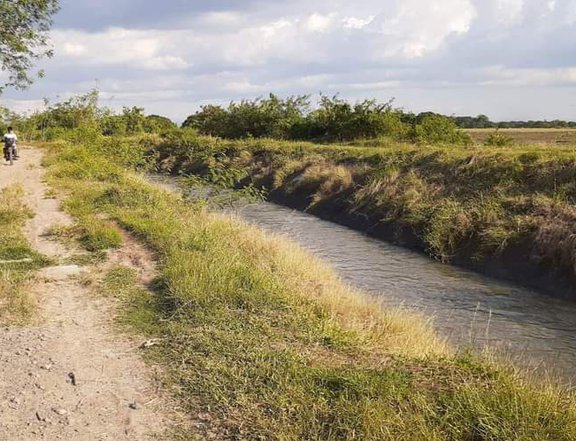 Agricultural Farm Lot For Sale Talugtug Nueva Ecija 🚜 [35 Properties ...