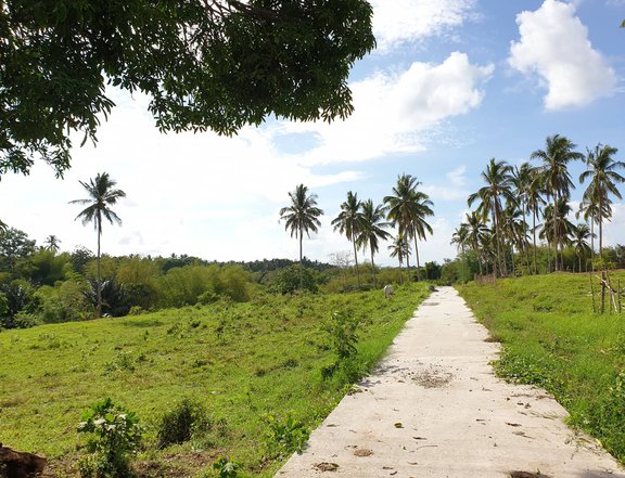 Bukid Background [54 Properties] (September 2022) on OnePropertee.com