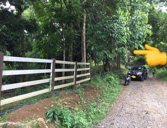 Verterra Highlands Tanay Rizal 🚜 [2,258 Properties] (April 2023) on ...