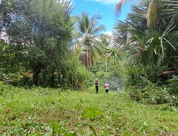 Farm Lot For Sale Bulacan 🚜 [261 Properties] (February 2024) on ...