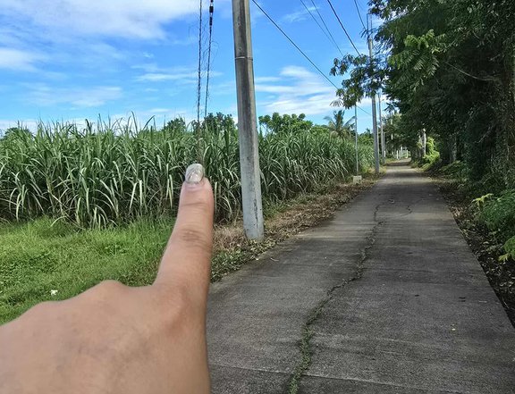 Best Lot For Sale San Pascual Batangas [19 Properties] (January 2026 ...