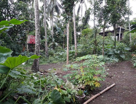 Bulacnin Lipa City [22 Properties] (June 2023) on OnePropertee.com