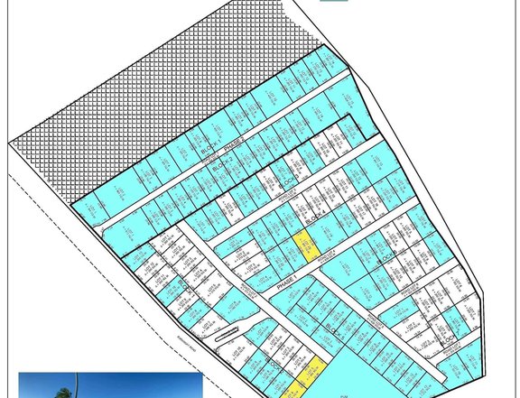 Ctbex Update 2022 [3,331 Properties] (December 2022) on OnePropertee.com