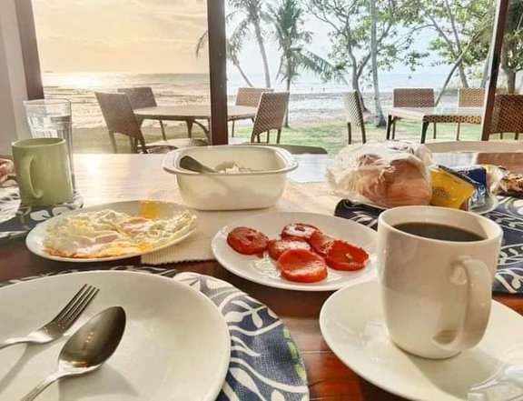 Quizon Family Tree [5,166 Properties] (January 2023) on OnePropertee.com